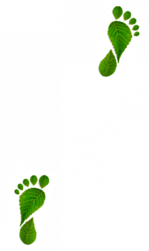 Carbon Footprint Calculator | Individual, Business & Events