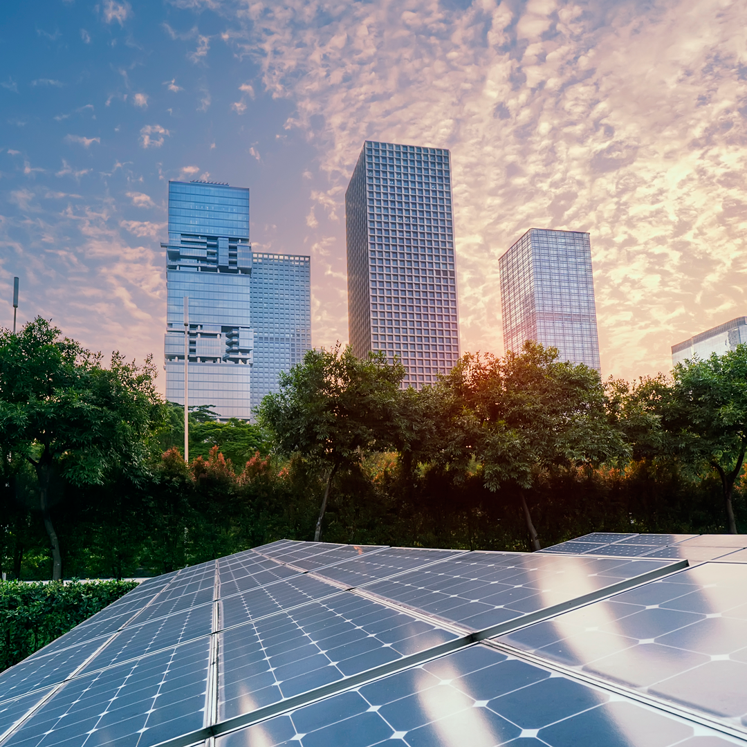 Carbon Offset Solutions for Medium & Large Businesses