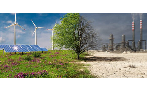 Carbon Dioxide Emissions From Electricity | How You Can Help