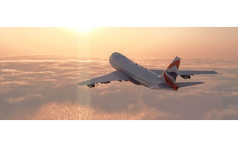 Airline Carbon Offsets: Making Air Travel Green