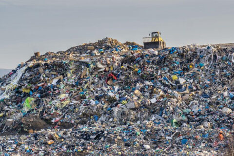 What Will Be the 6 Biggest Environmental Problems of 2024?